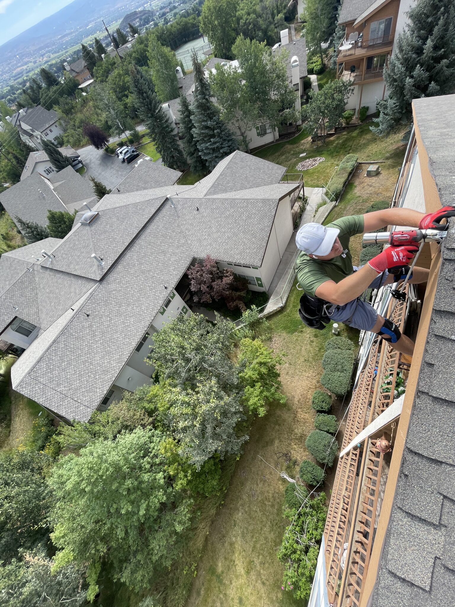 Provo Commercial Bat Removal - Utah Wildlife Specialists