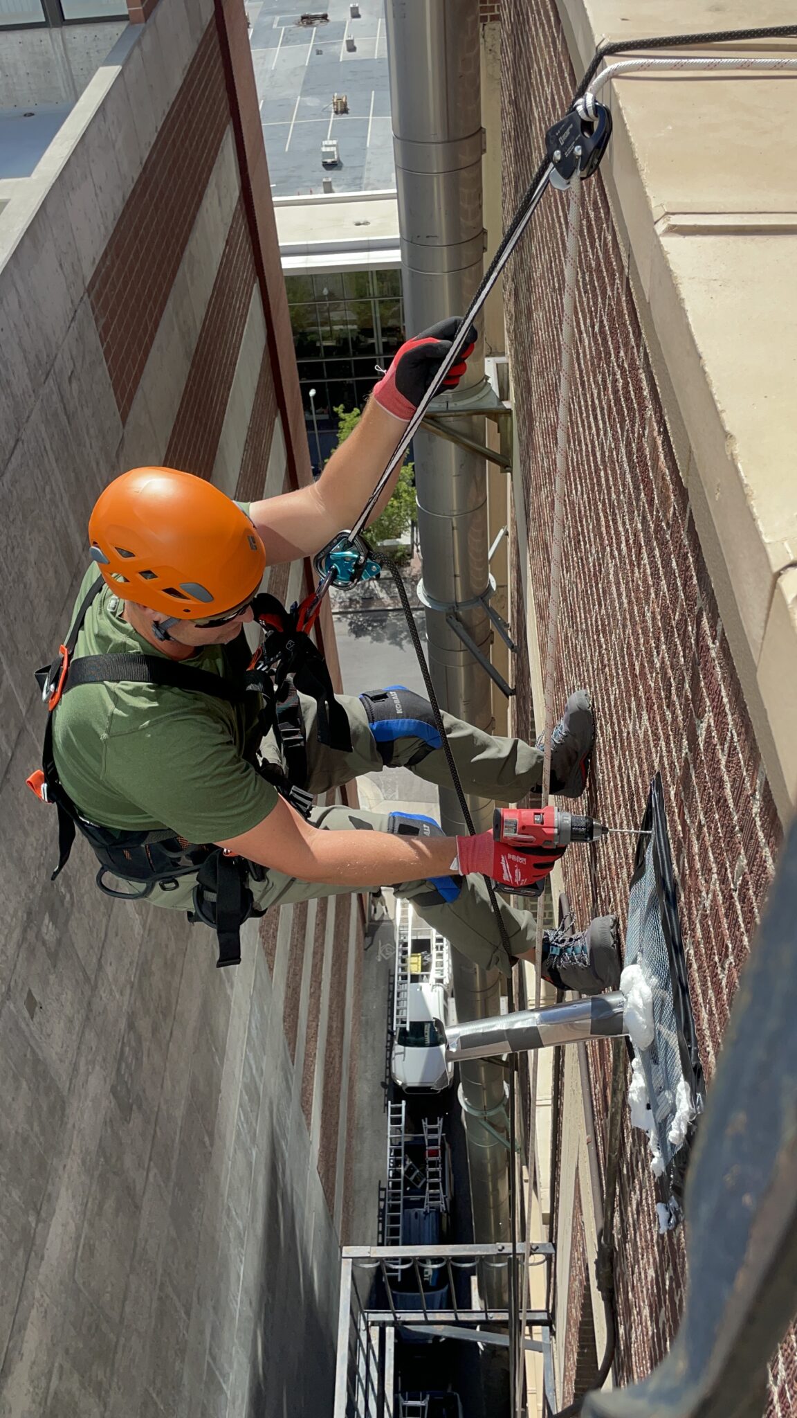 Sutherland Bat Removal | Utah Wildlife Specialists
