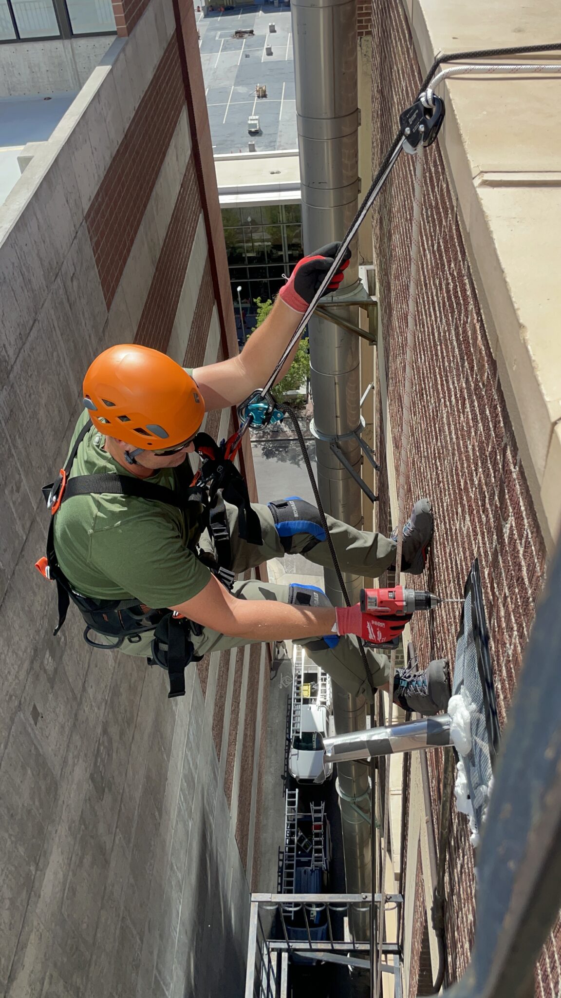 Manti Bat Removal | Utah Wildlife Specialists