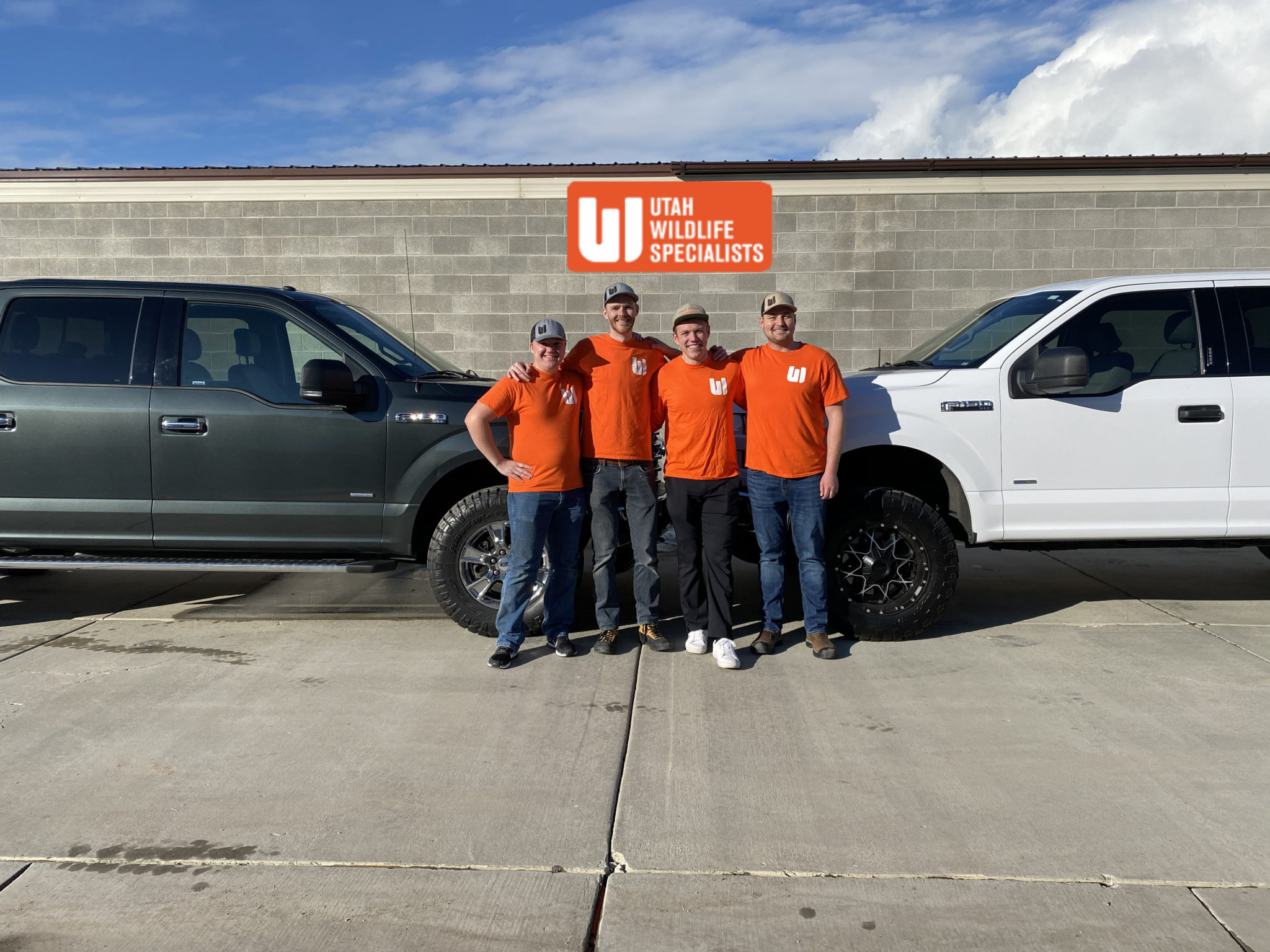 St. George Commercial Bat Removal | Utah Wildlife Specialists